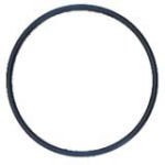 Pentek 151122 O-Ring for 10" and 20" Big Blue Filter Housings ...